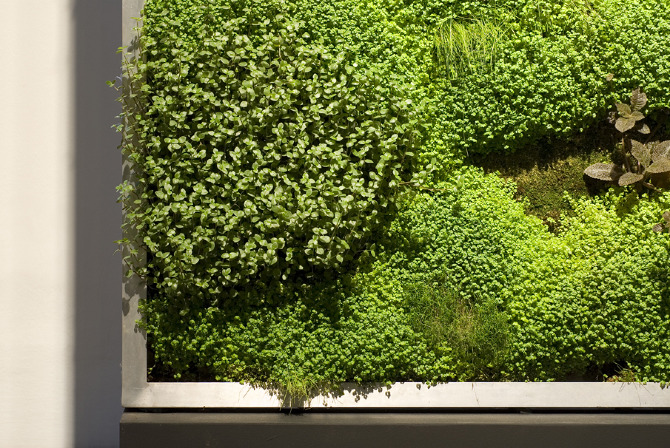 CELLS - MAK - Lindle+Bukor