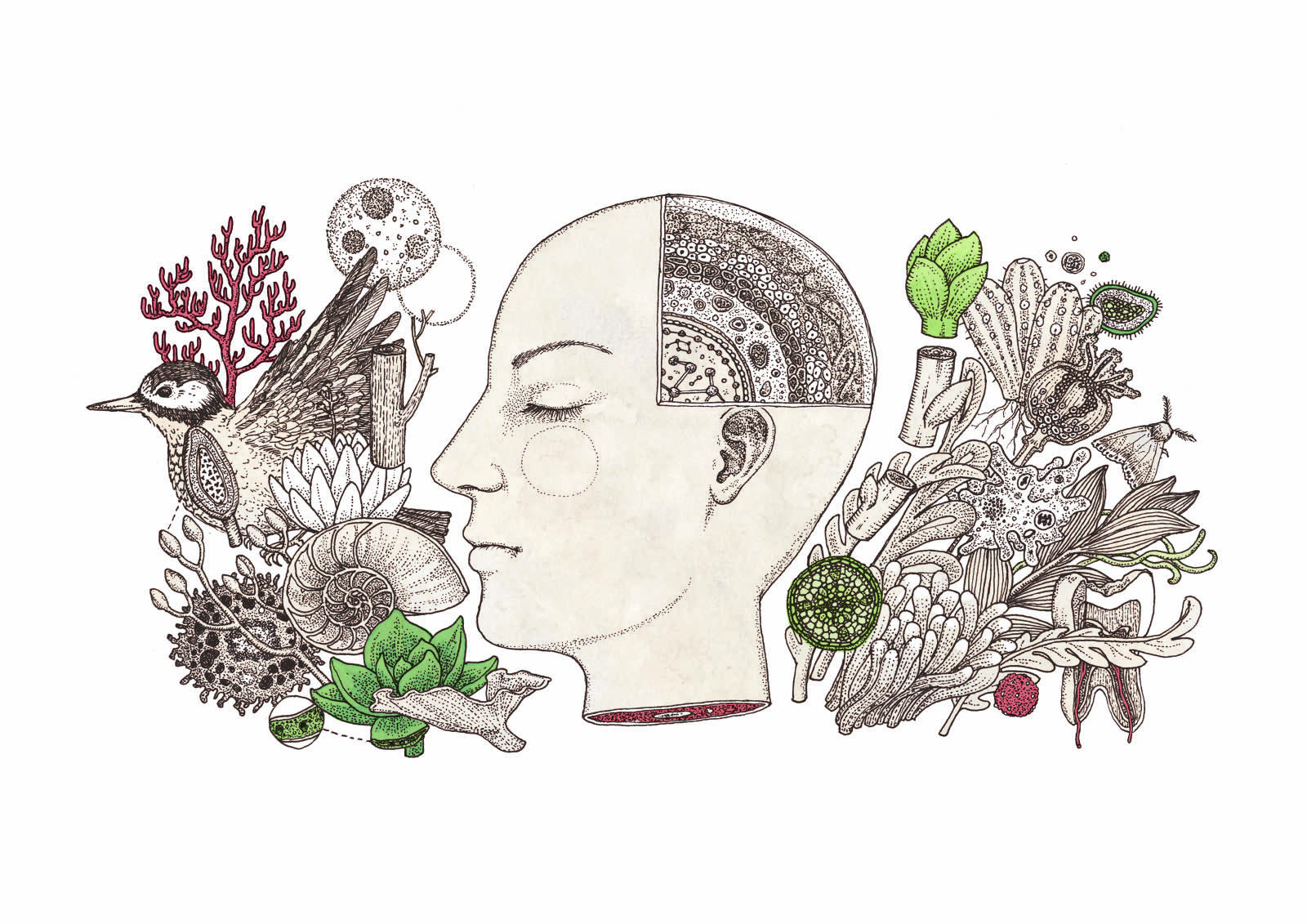 Levels of Complexity - V Martineau Illustration