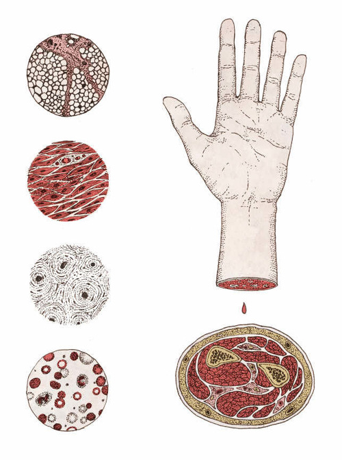 Levels of Complexity - V Martineau Illustration