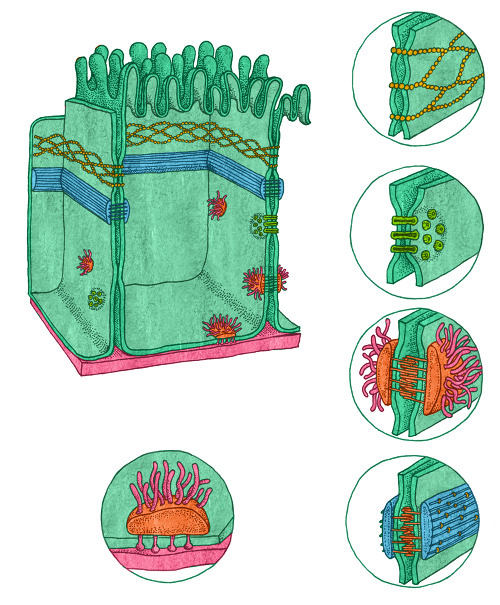 Levels of Complexity - V Martineau Illustration