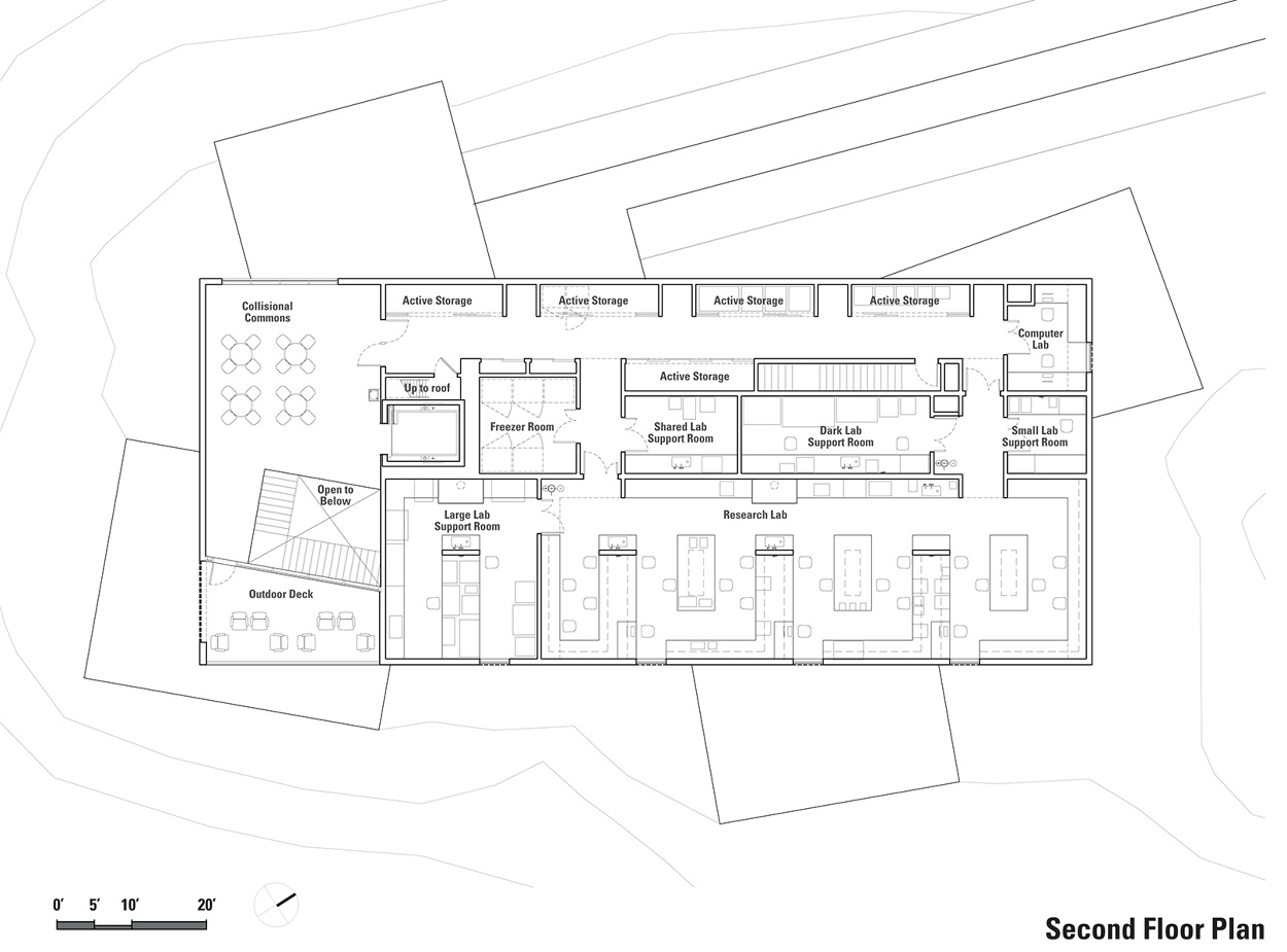 Gluck+ Duke Marine Lab - Brock Benninger