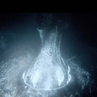 The Piccards - david cardinali