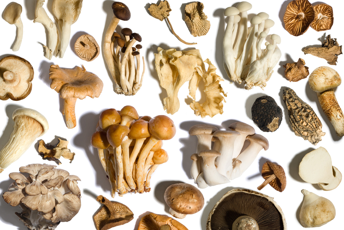 Still Life + Charts - chrisrochelle.com