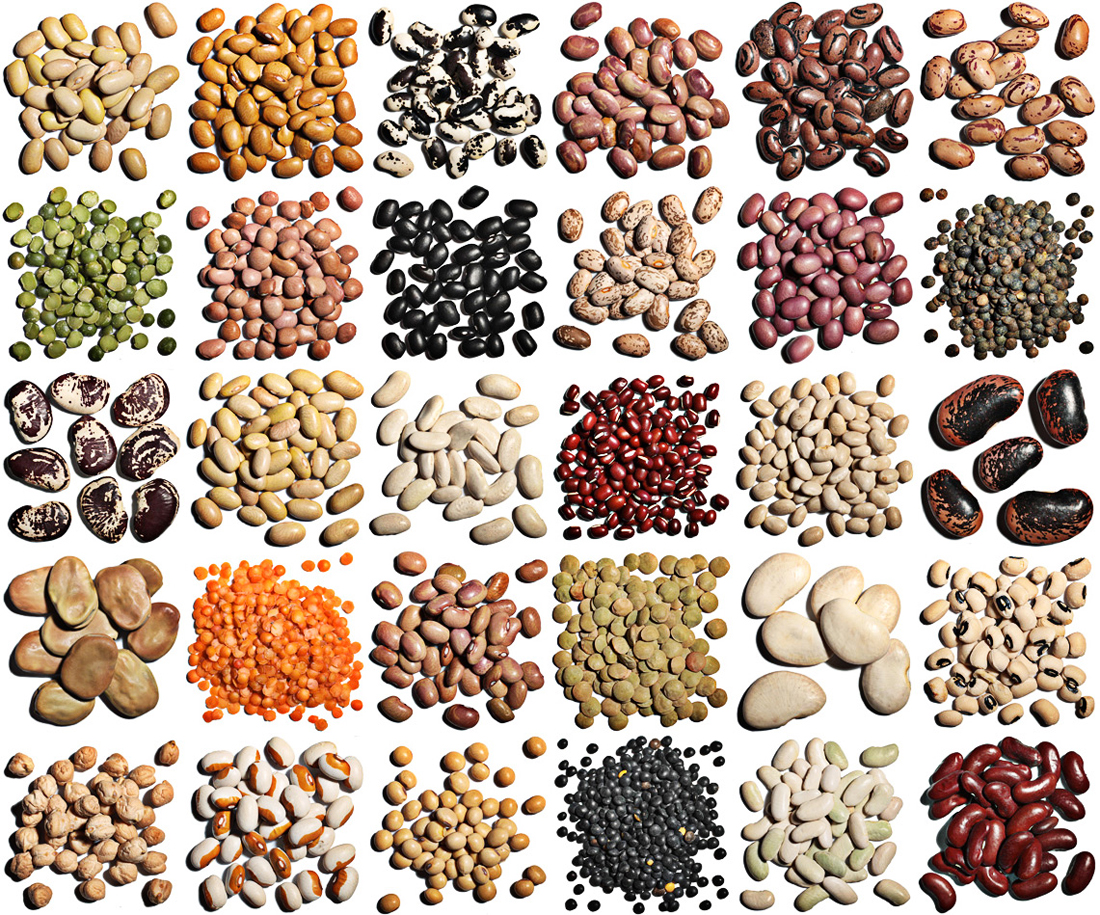 Still Life + Charts - chrisrochelle.com