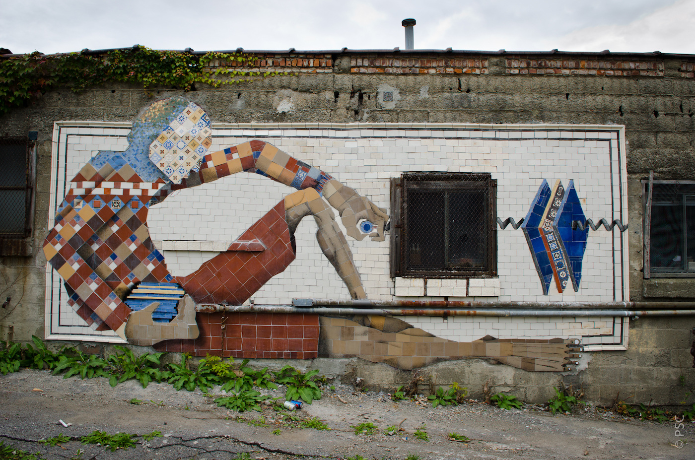 Living Walls Albany - OverUnder