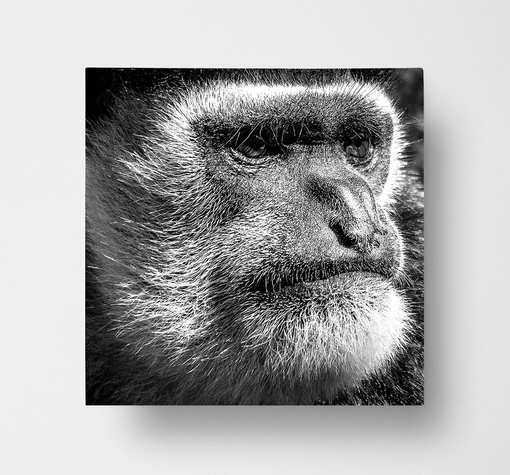 EXO2 Compilation - Ekster