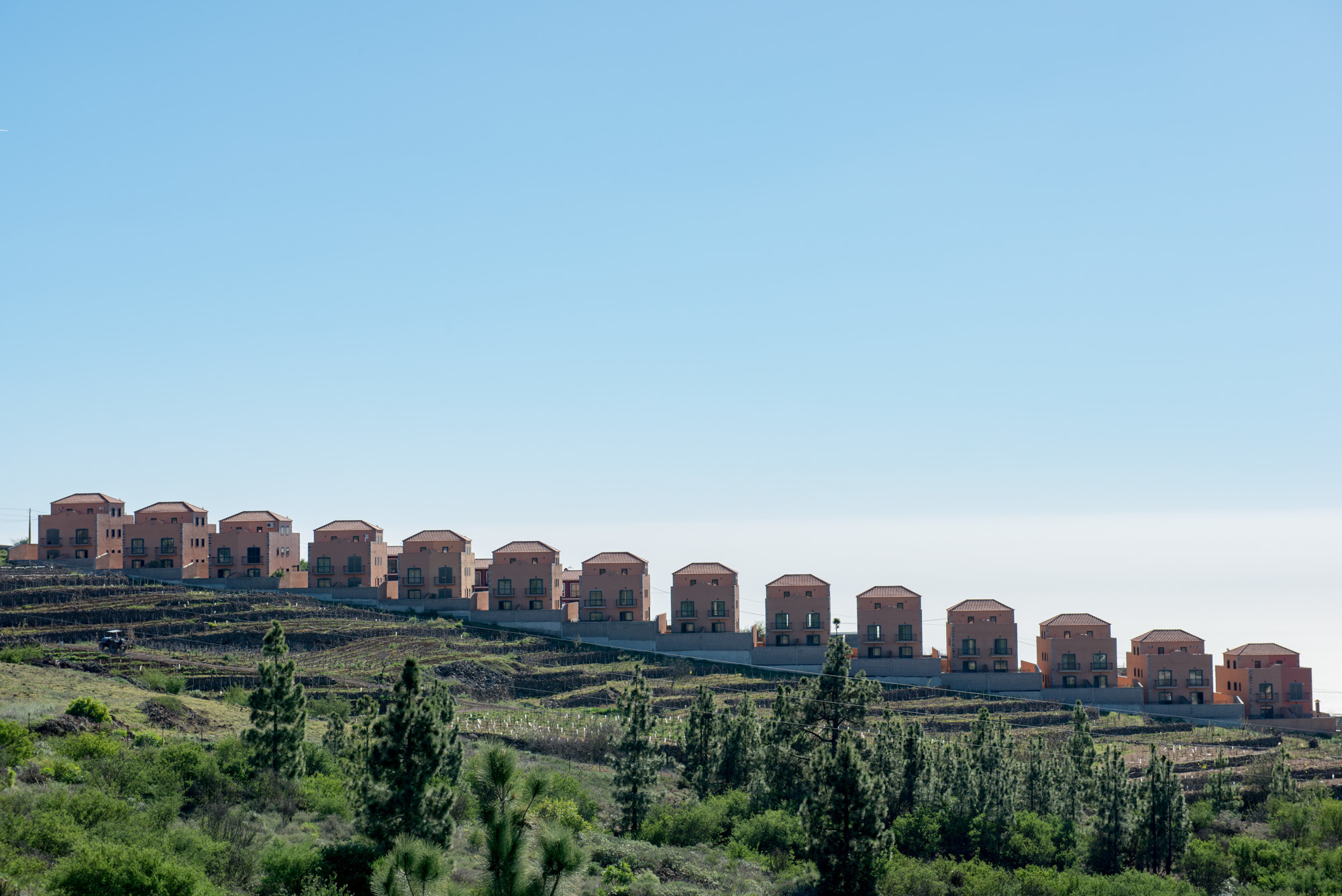 Tenerife - Daniel Salemi Photography