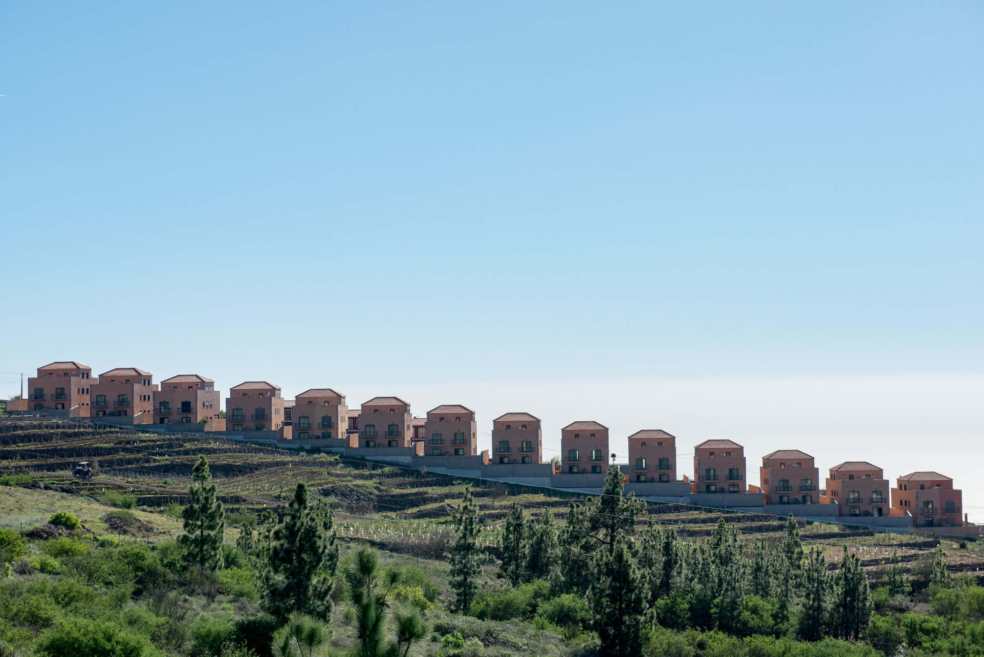 Tenerife - Daniel Salemi Photography