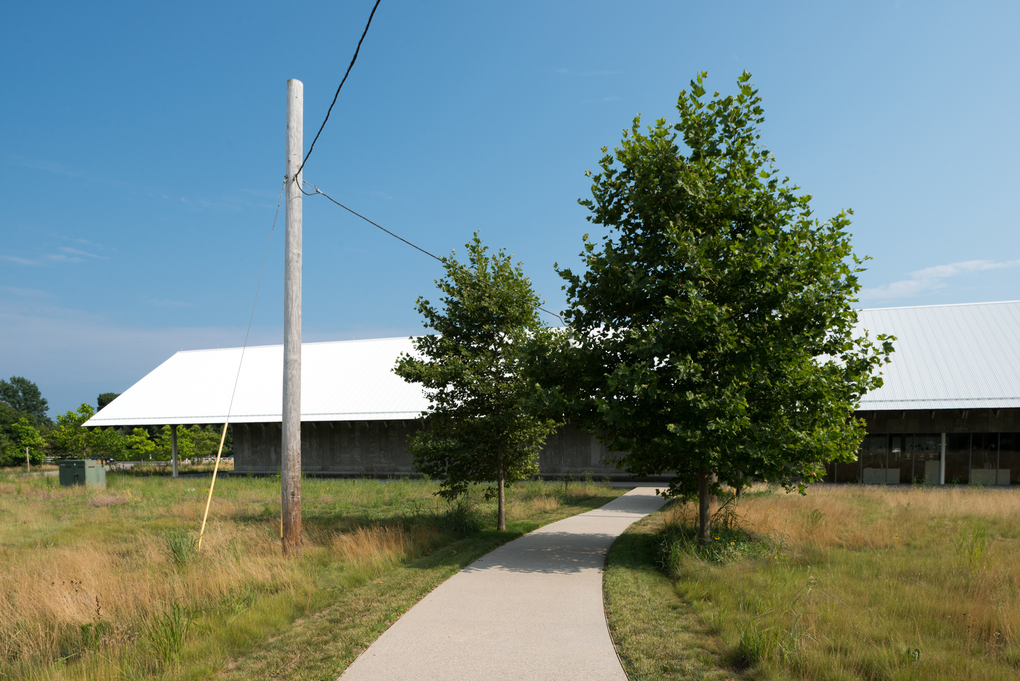 Daniel Salemi Photography