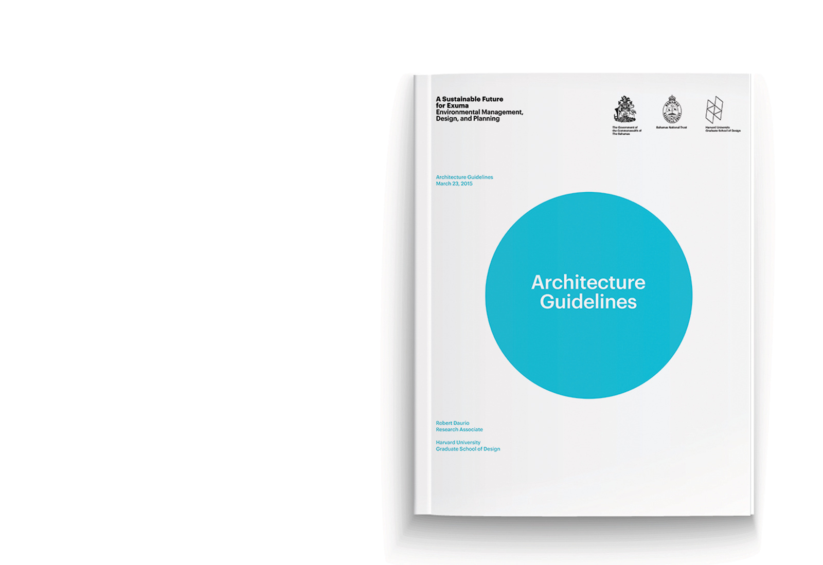 Architecture Guidelines - r daurio