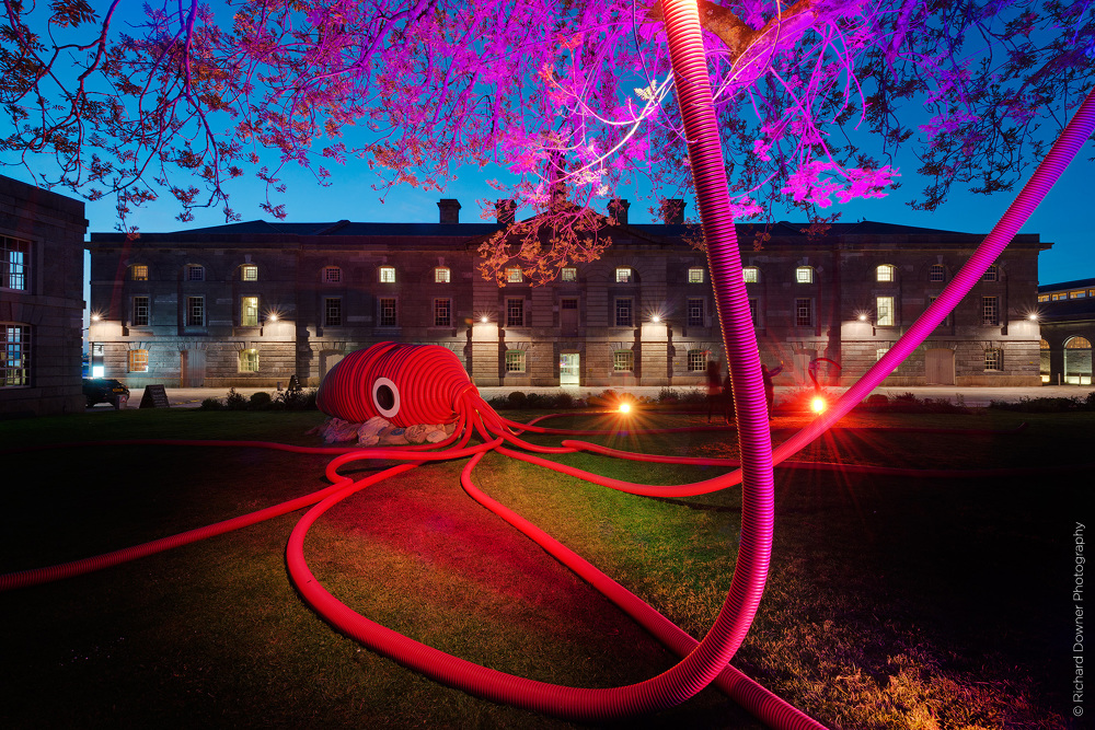 SQUIGGLY WIGGLY - moradavaga