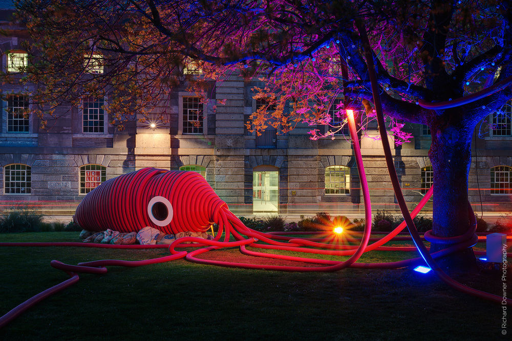 SQUIGGLY WIGGLY - moradavaga