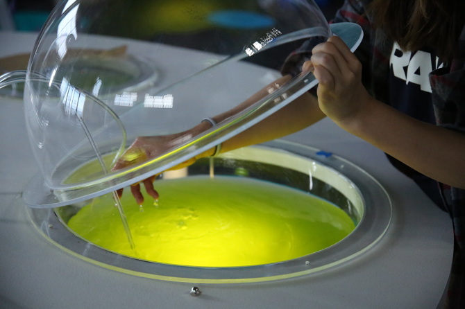 Algae Globe - Hayeon Hwang