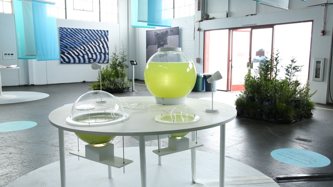 Algae Globe - Hayeon Hwang