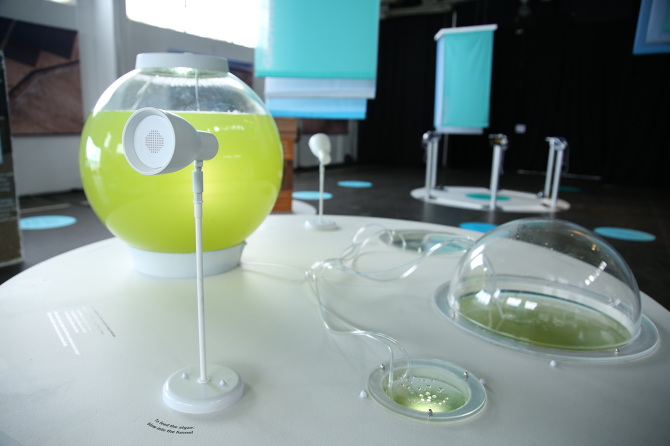 Algae Globe - Hayeon Hwang