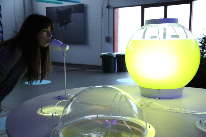 Algae Globe - Hayeon Hwang