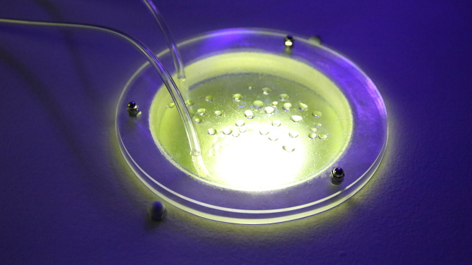 Algae Globe - Hayeon Hwang
