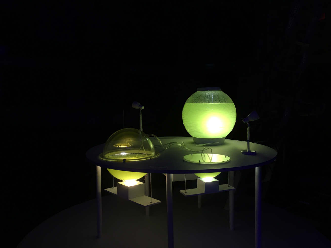 Algae Globe - Hayeon Hwang