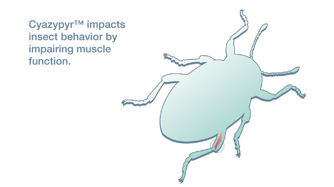Dupont Cyazypyr - Insomnia Graphics