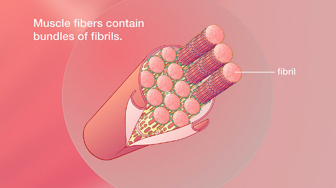 Dupont Cyazypyr - Insomnia Graphics