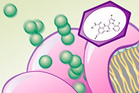 Dupont Cyazypyr - Insomnia Graphics