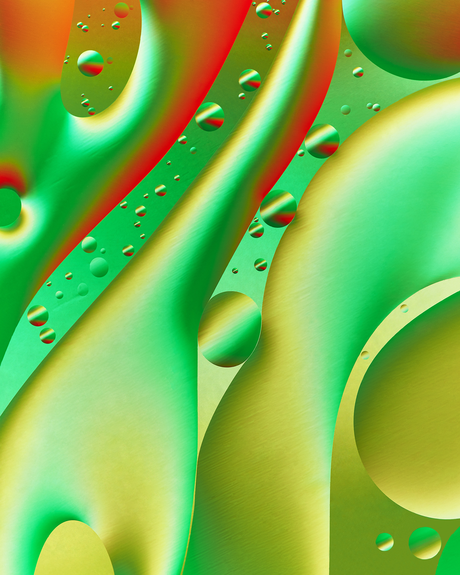 The Gourmand - Olive Oil - baker.evans