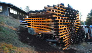 Seth Colin Dunn, AIA, Architect, Regenerative Practitioner