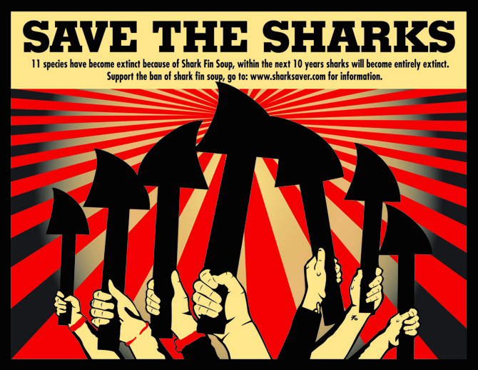 Save the Sharks - Adam Gullickson Design Portfolio