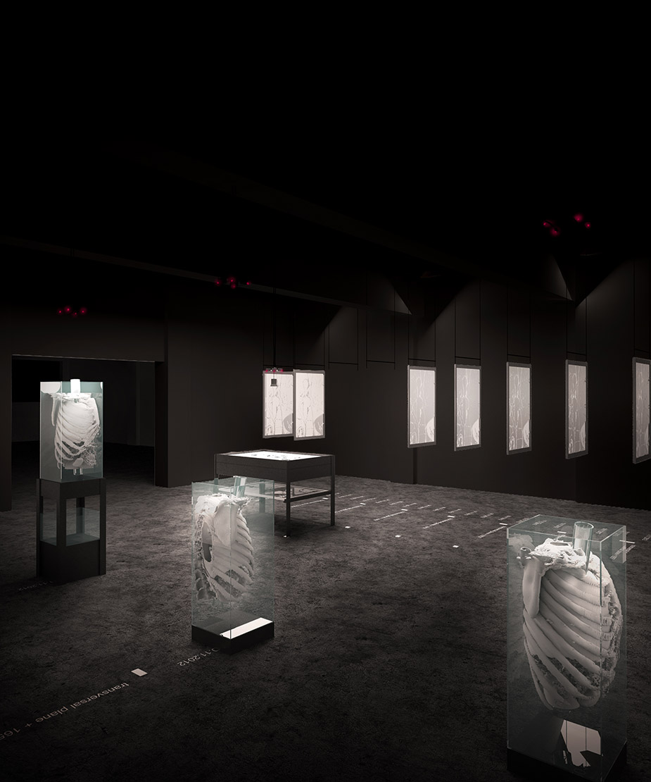 Invisible Human Exhibition - ordinary ltd