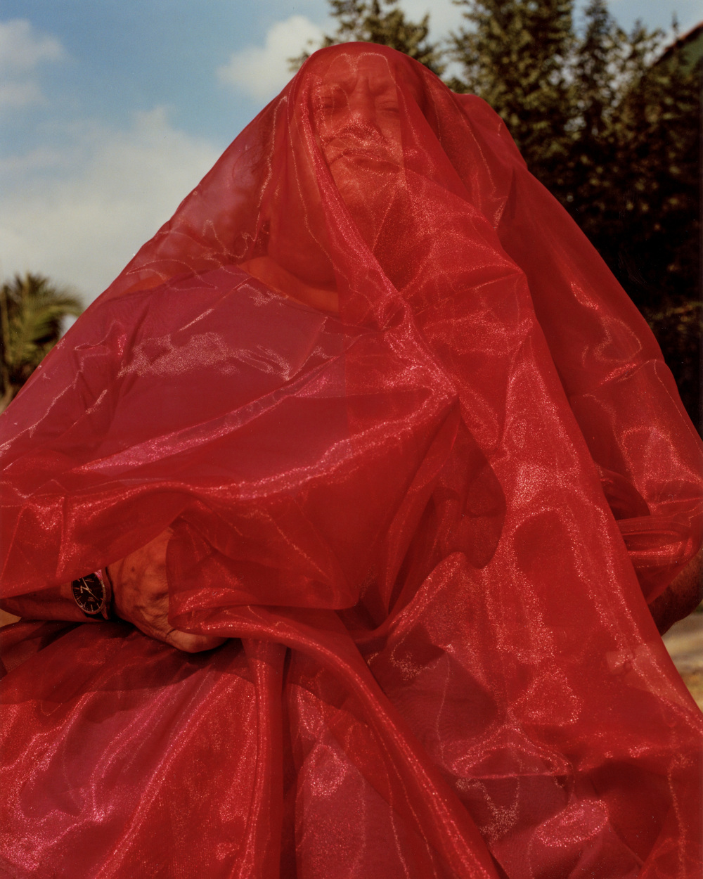 Family Album - pat martin