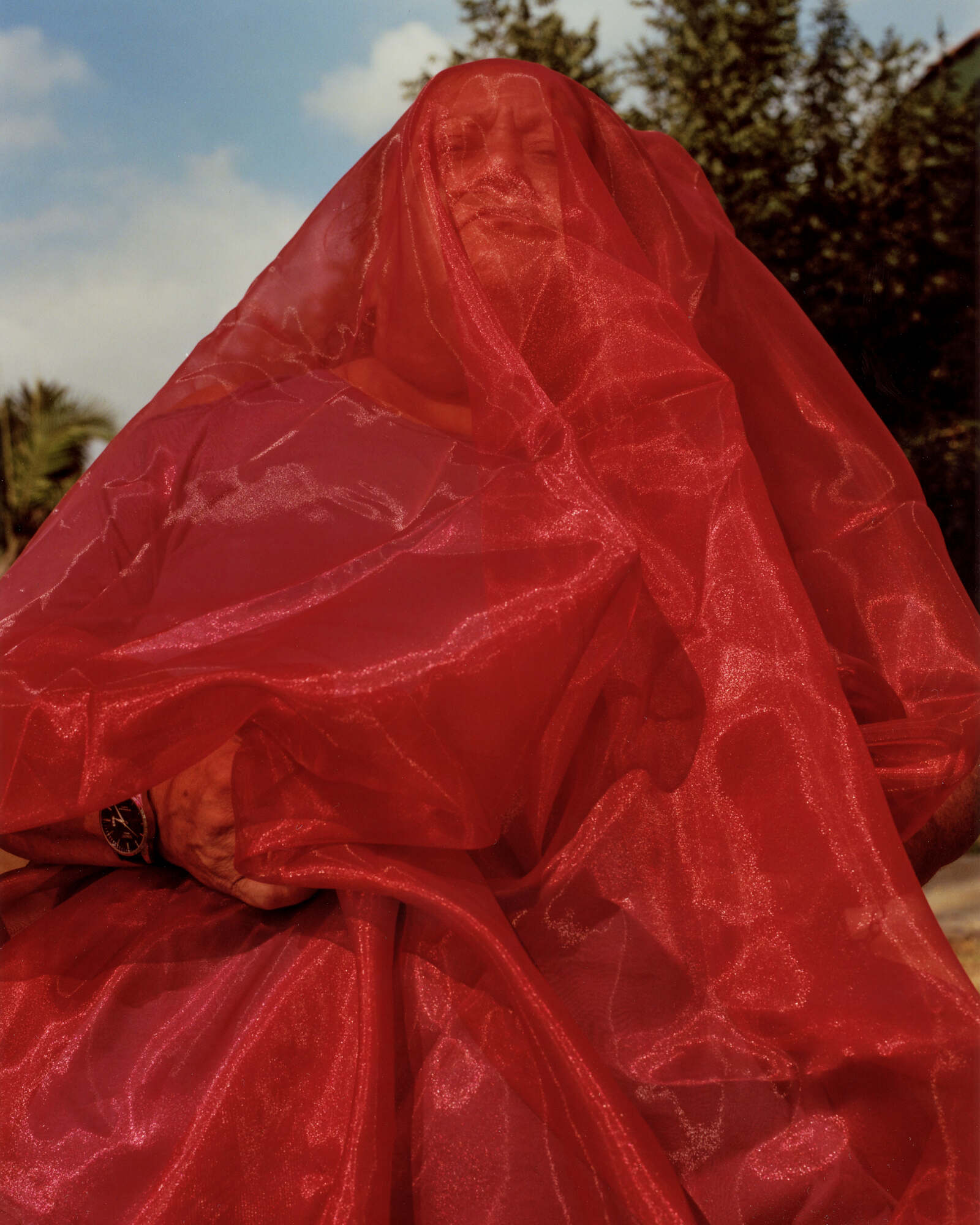 Family Album - pat martin