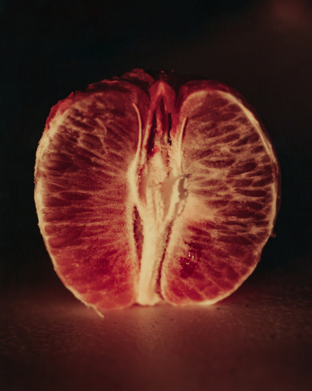 Family Album - pat martin