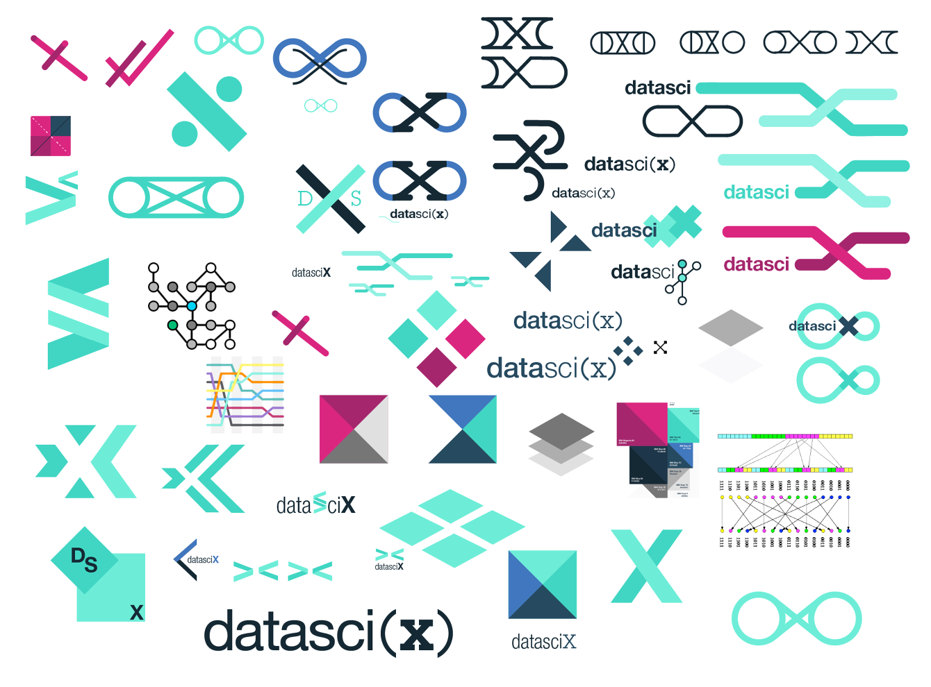 DataWorks Logo Family - Zoe Padgett