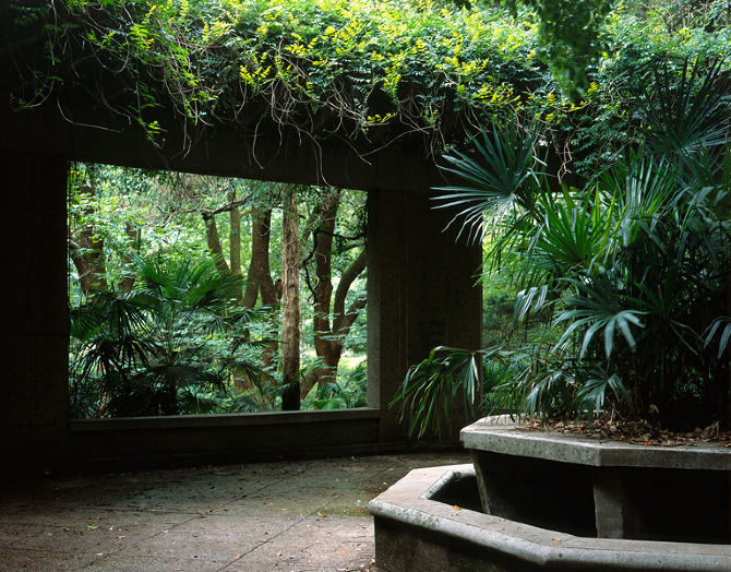 Under the leaves - Fabien Seguin