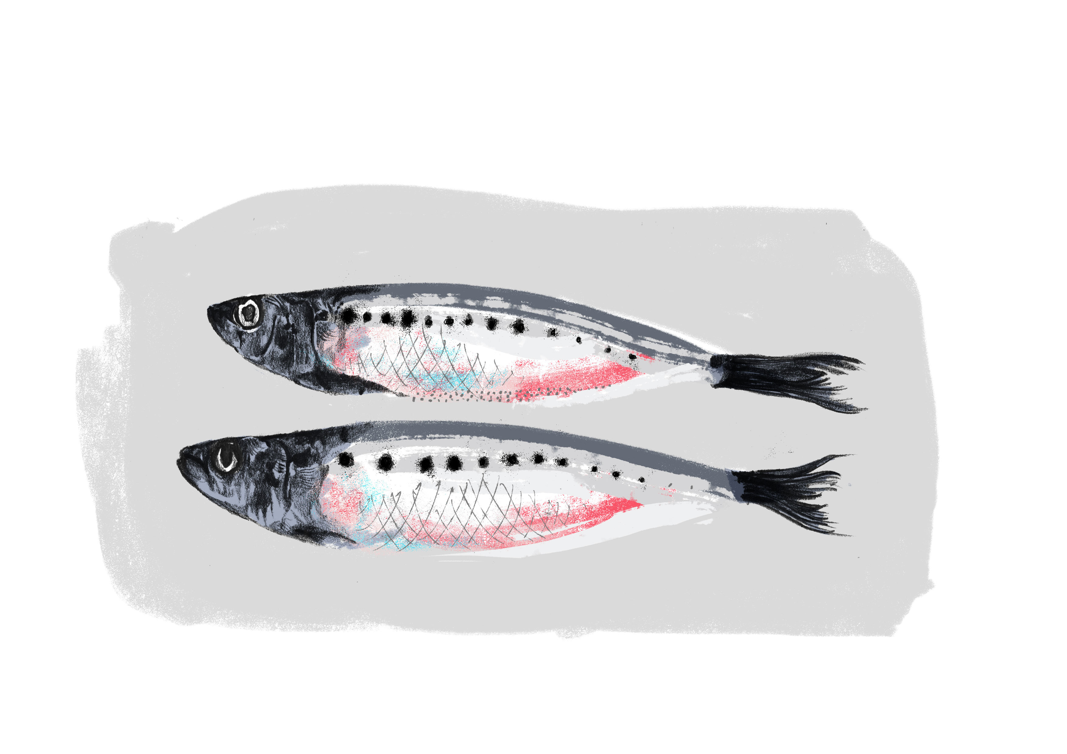 Fish - Sophie Standing Illustration