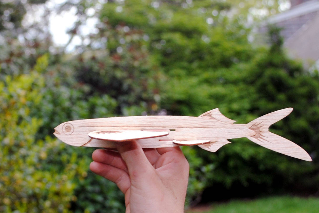 Flying Fish Glider - Skye Moret