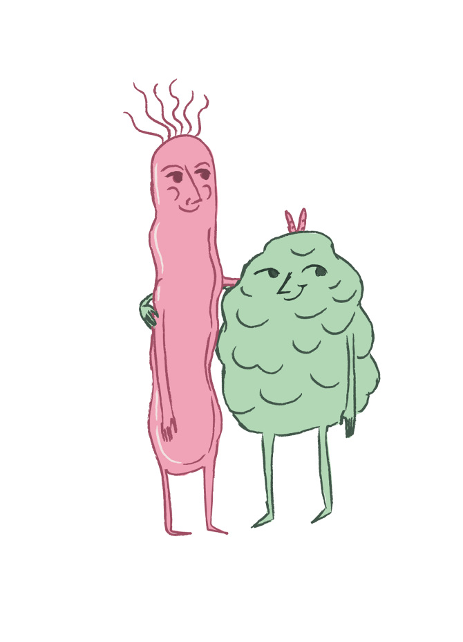 Crepitantes - elienigena