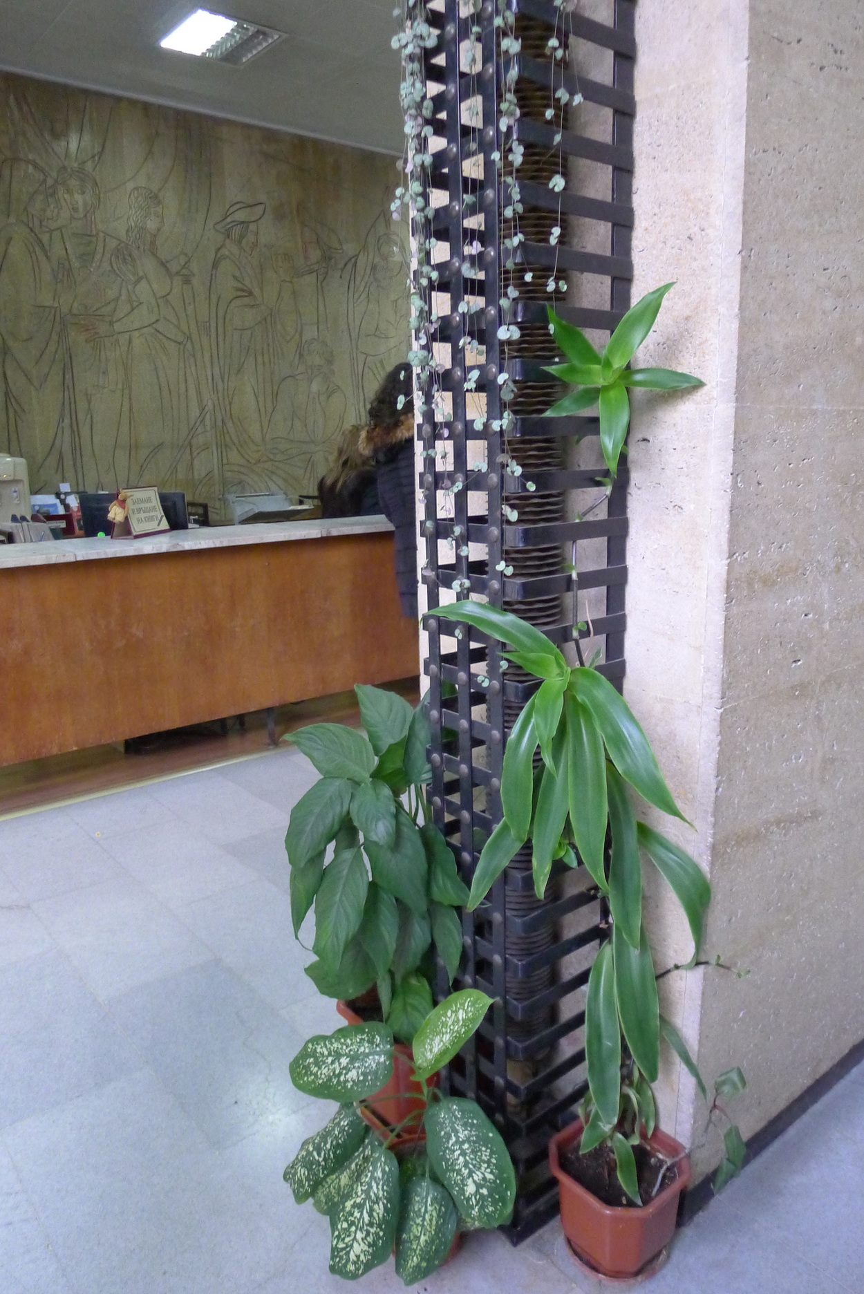 Ivan Vazov National Library, Plovdiv, Bulgaria - THE NIGHT LIBRARY