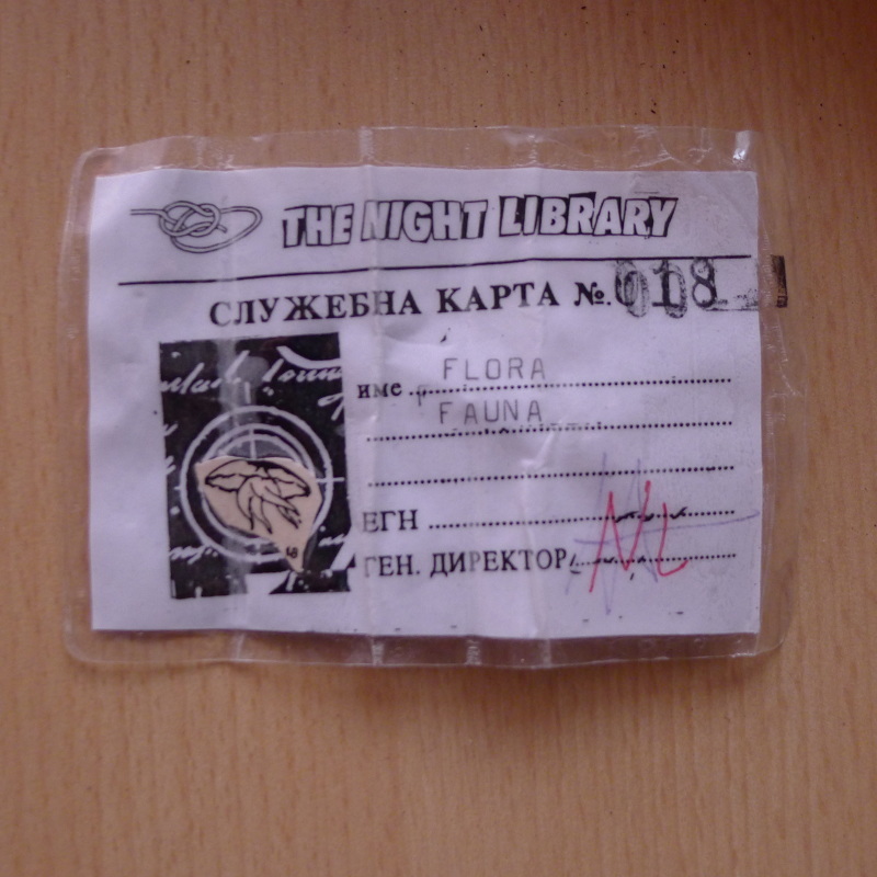 Installation - THE NIGHT LIBRARY - THE NIGHT LIBRARY