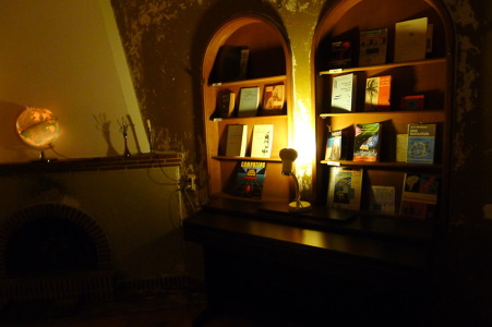 THE NIGHT LIBRARY
