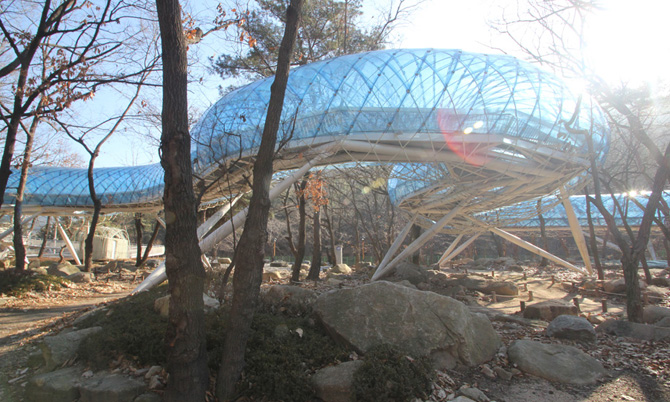 linear building up in the trees - www.pdorsey.com