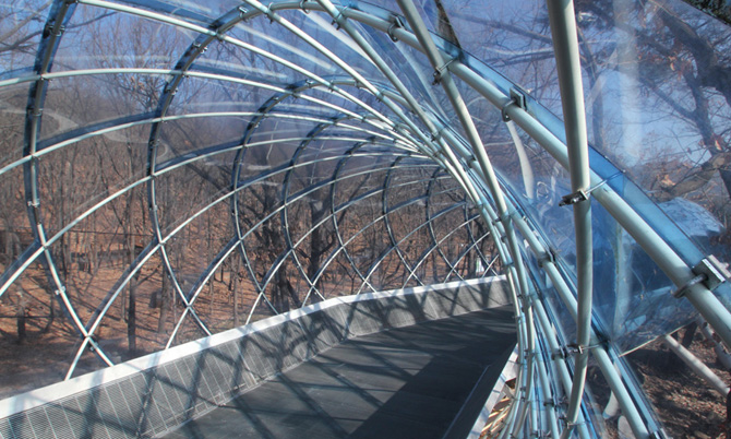 linear building up in the trees - www.pdorsey.com