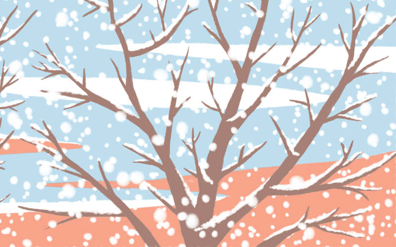 Dream Studio - Tom Hardwick Illustration