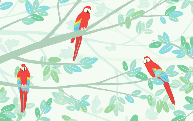 Dream Studio - Tom Hardwick Illustration