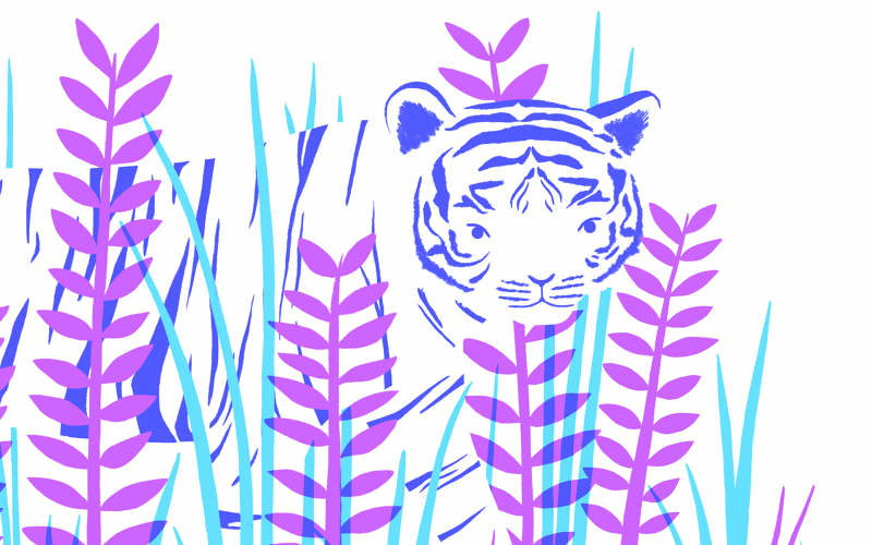 Dream Studio - Tom Hardwick Illustration