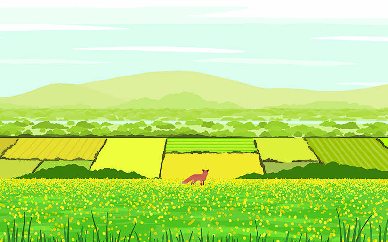 About Tom - Tom Hardwick Illustration