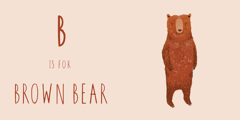 Animal Alphabet Book - Tom Hardwick Illustration