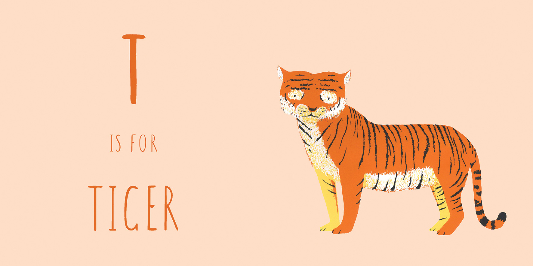 Animal Alphabet Book - Tom Hardwick Illustration