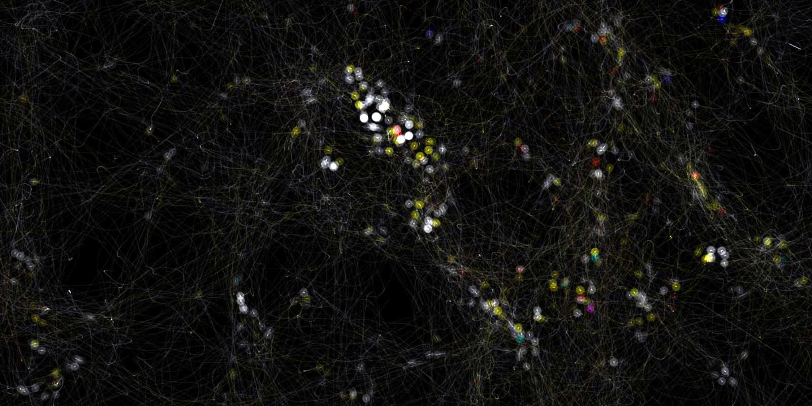 Evolutionary Boids - Carson Russell