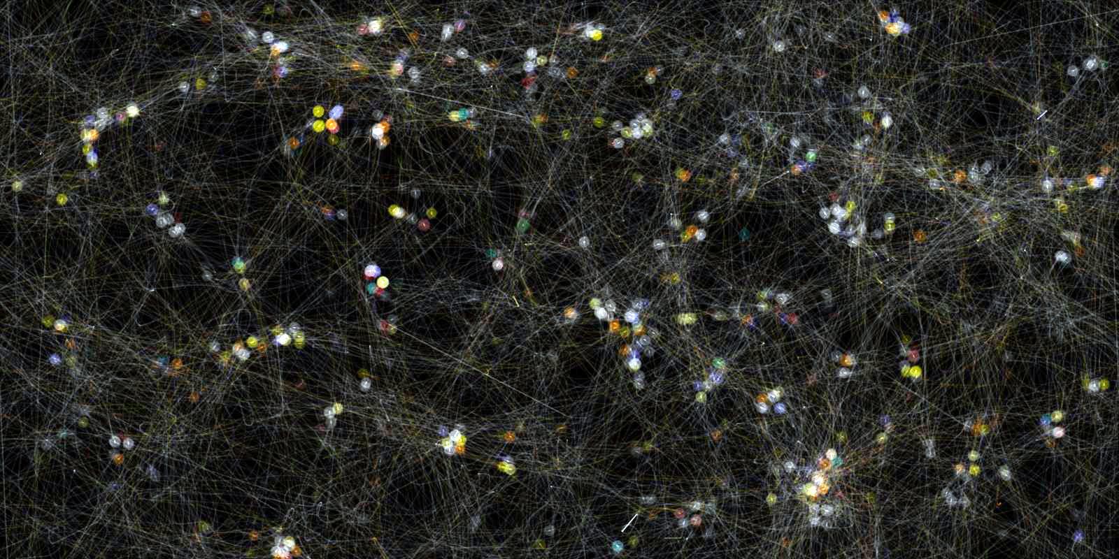 Evolutionary Boids - Carson Russell